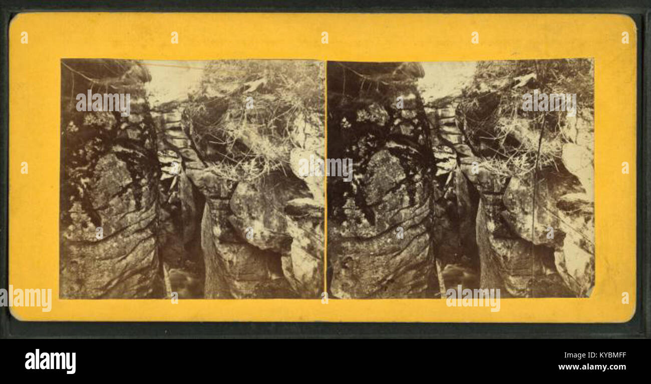 A scenic photograph by Ward H. D. depicting the Natural Bridge, a ...