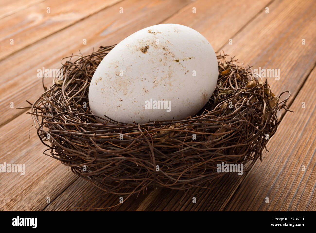 side view goose egg on nest on wood background Stock Photo - Alamy