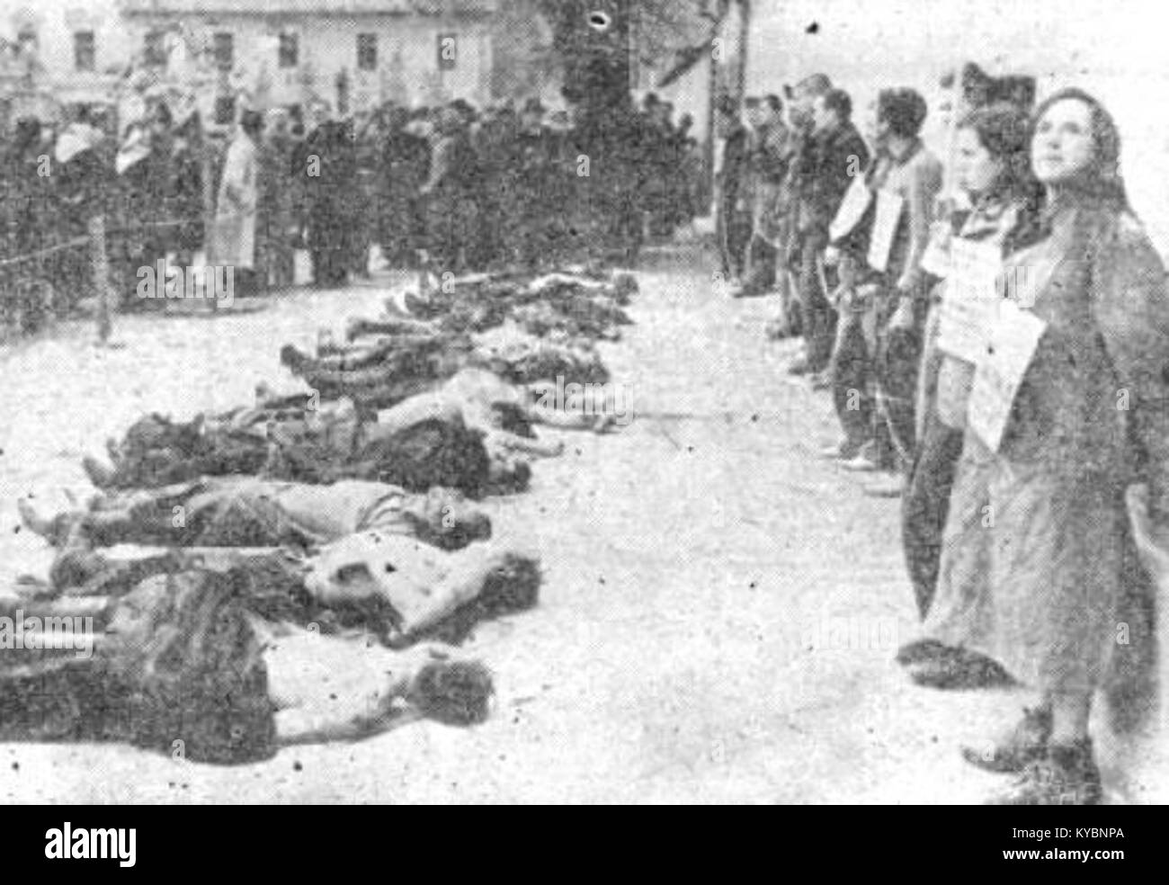 This image depicts a historical scene in Celje, Slovenia, showing the ...