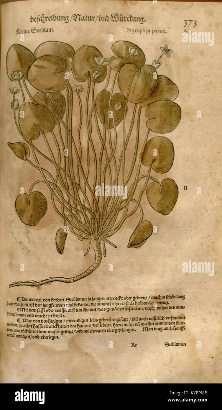 The 'New Kreterbuch' is a historical German manuscript that serves as a ...