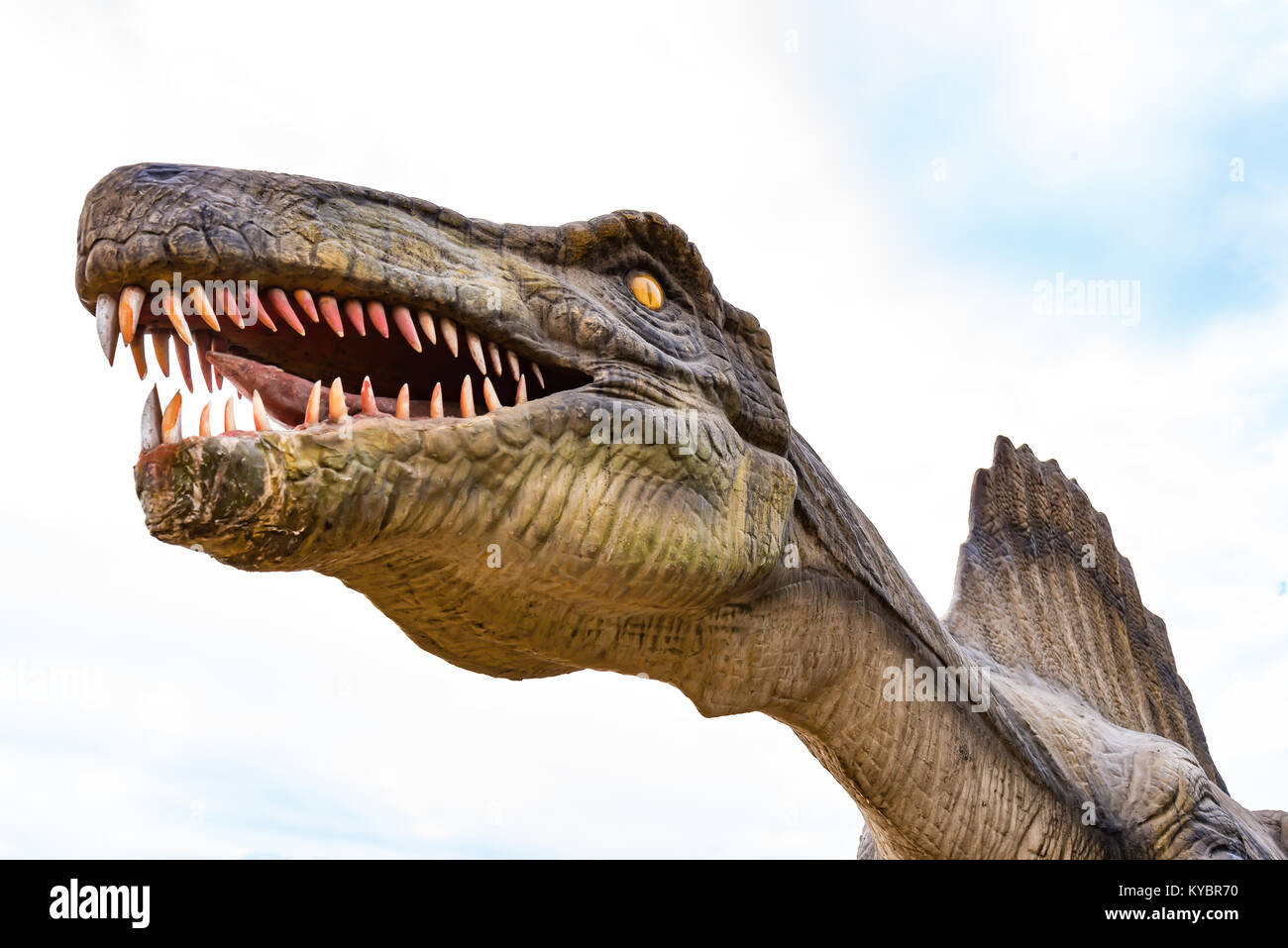 head of a giant size Spinosaurus Stock Photo - Alamy