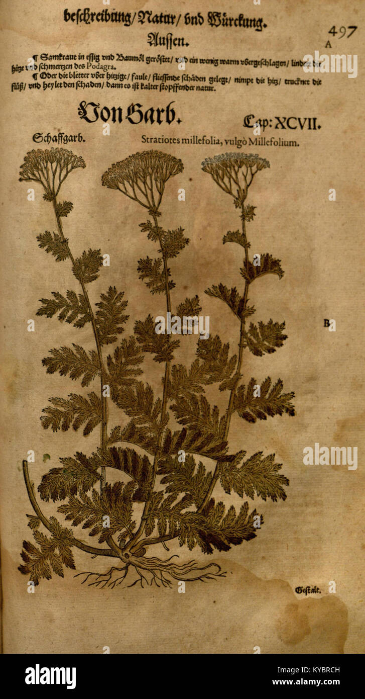 New Kreterbuch is a botanical catalog describing plant species, their ...