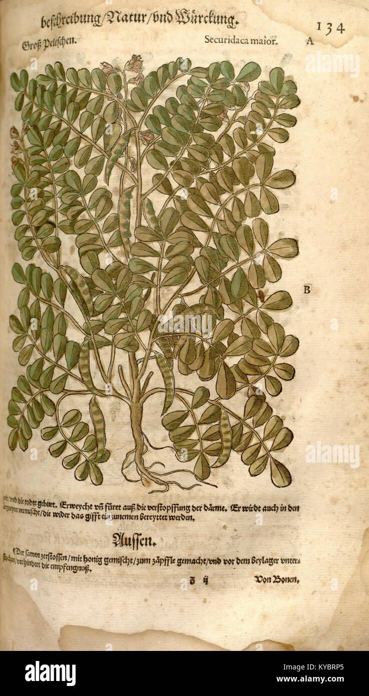 A scientific manuscript titled New Kreterbuch, BHL9500332, presenting a ...