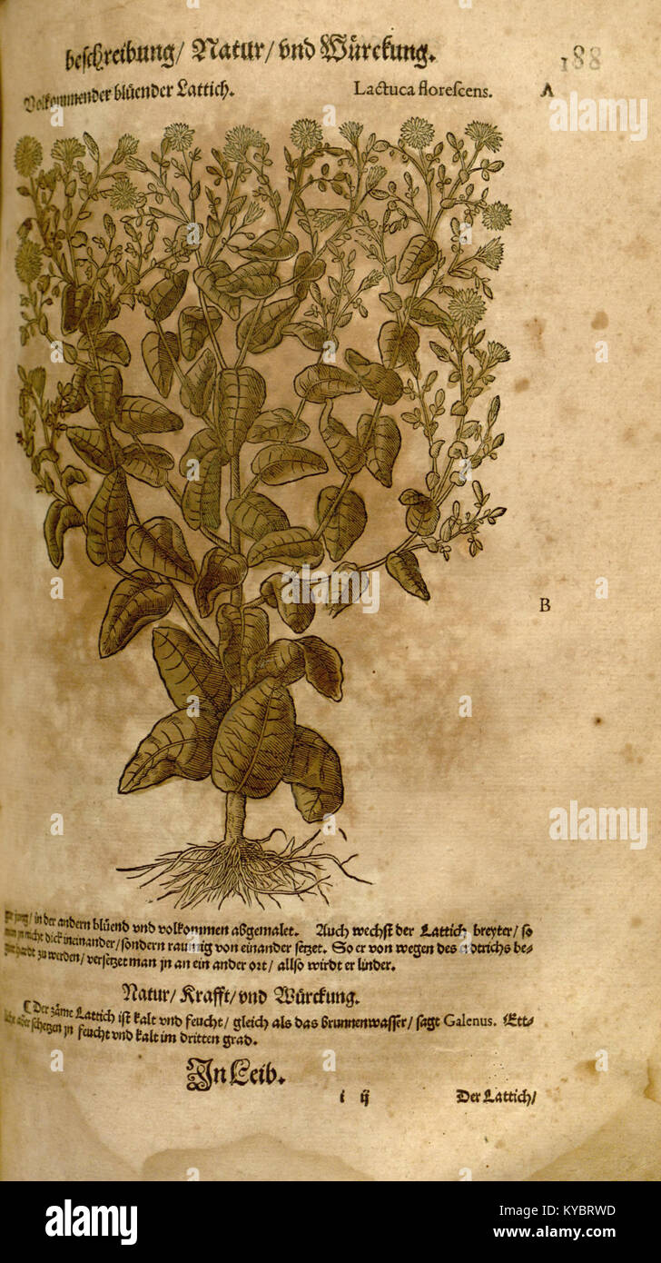 Cataloging various plant species hi-res stock photography and images ...