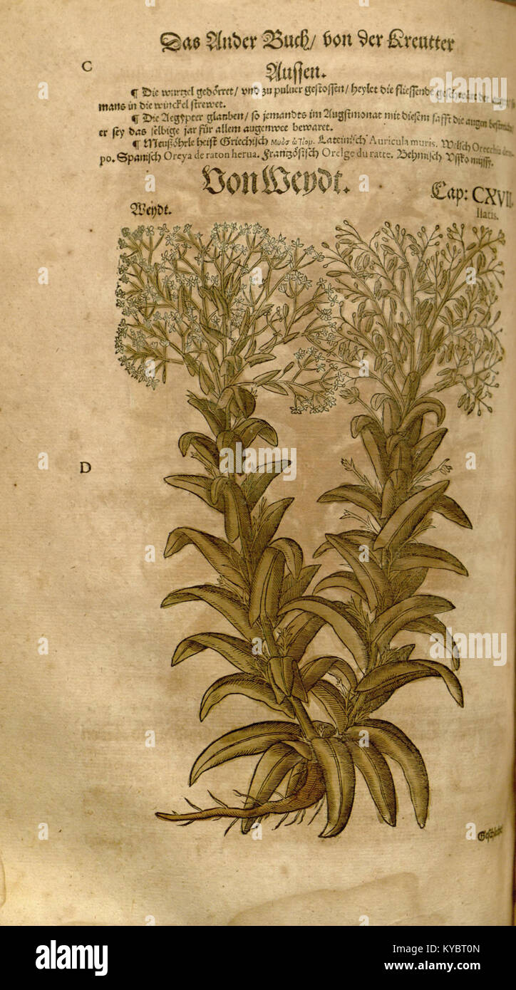 The 'New Kreterbuch' provides detailed descriptions and classifications ...