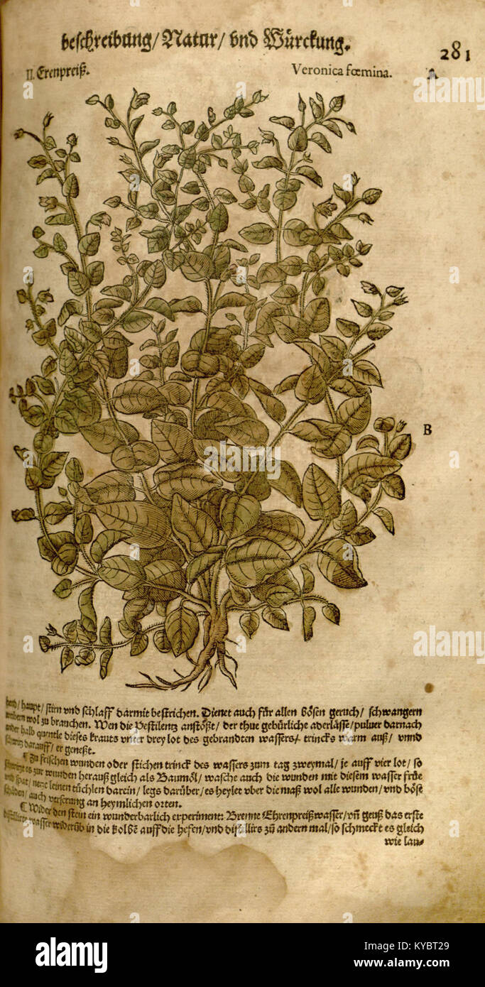 The *New Kreterbuch* is a botanical reference book, documenting plant ...