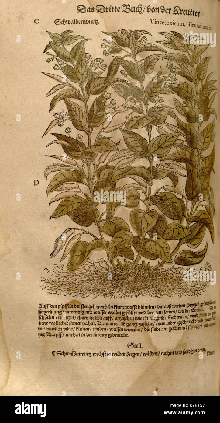 Manuscript cataloging hi-res stock photography and images - Alamy