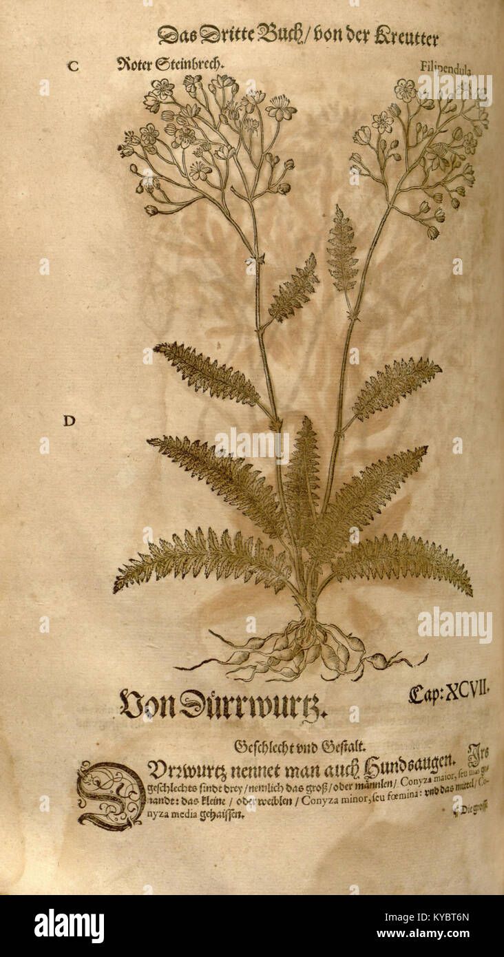A historical text from the early 19th century associated with the 'New ...