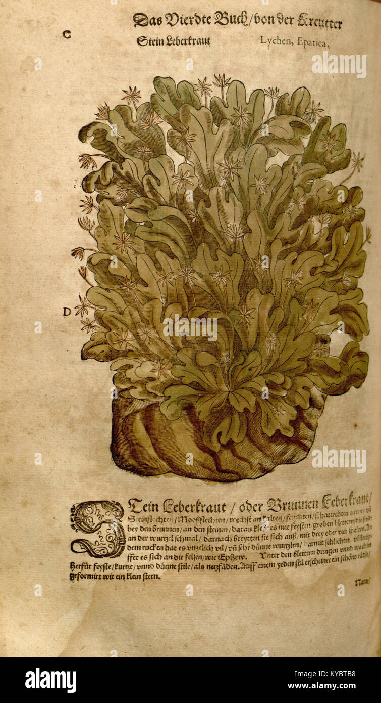 Leonhart Fuchs’s New Kreüterbuch (1543) is recognized as one of the ...