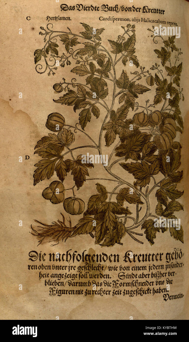 Herbaldocument hi-res stock photography and images - Alamy