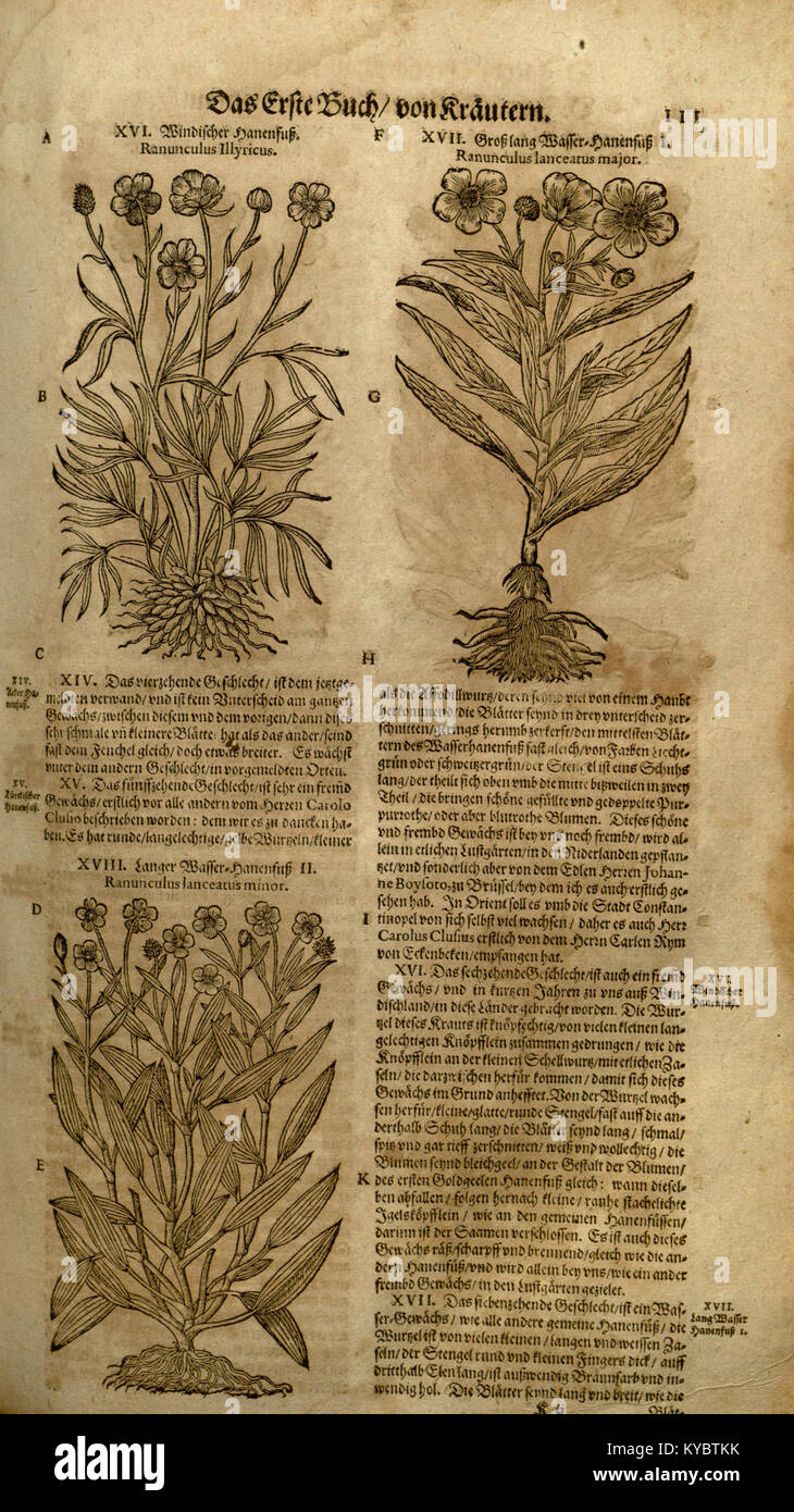 Herbalheritage hi-res stock photography and images - Alamy