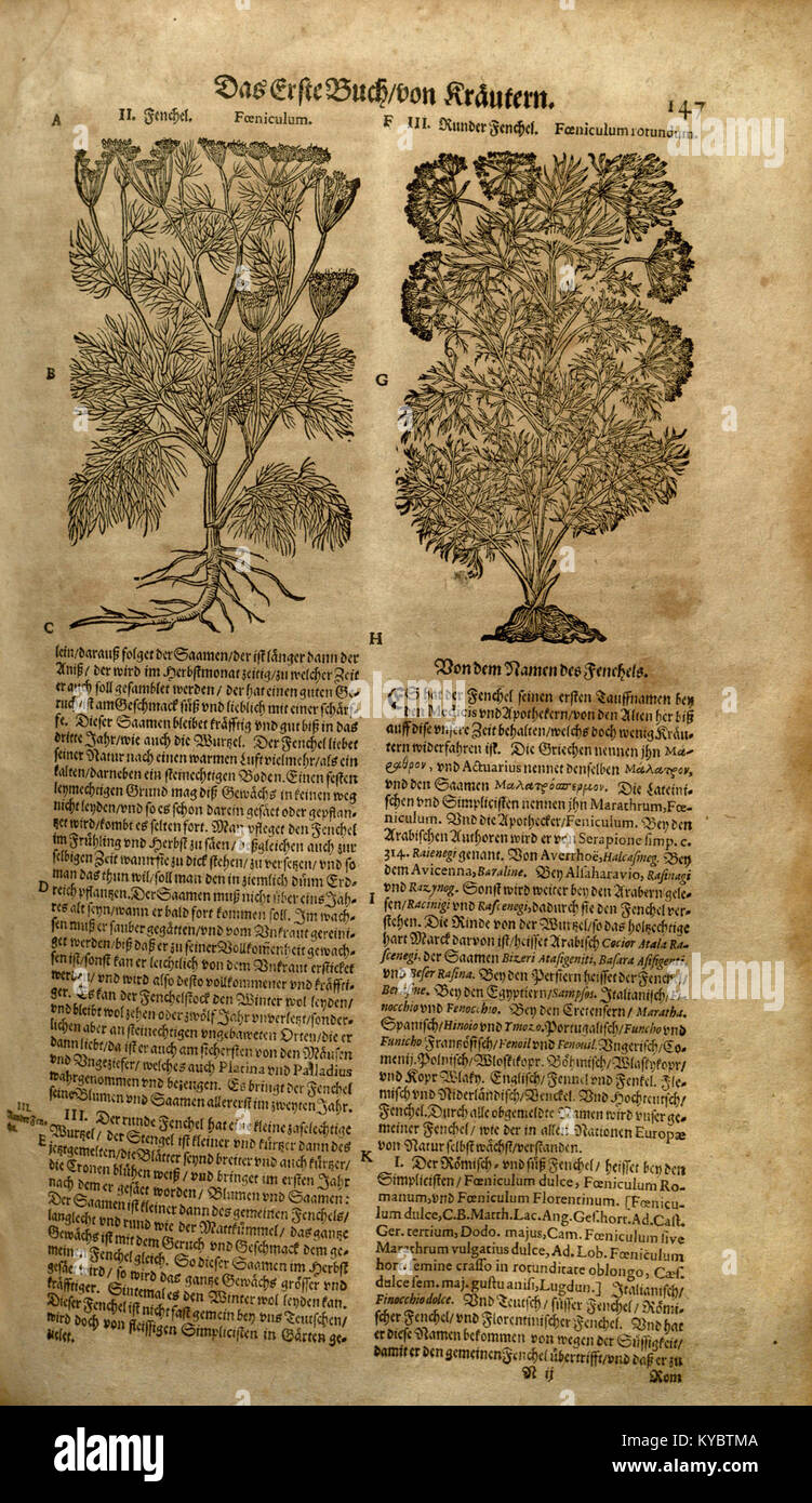 This page from the 'New Complete Herbal Book' details medicinal plants ...
