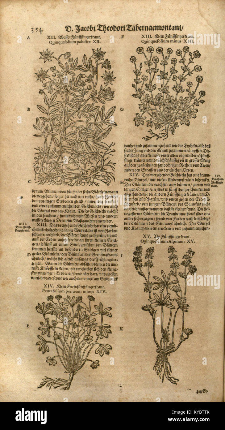 Herb herbs plant plants medicinal illustration hi-res stock photography ...