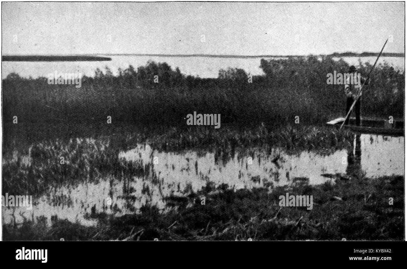 The first volume of 'Nils Holgersson' by Selma Lagerlöf, a Swedish ...