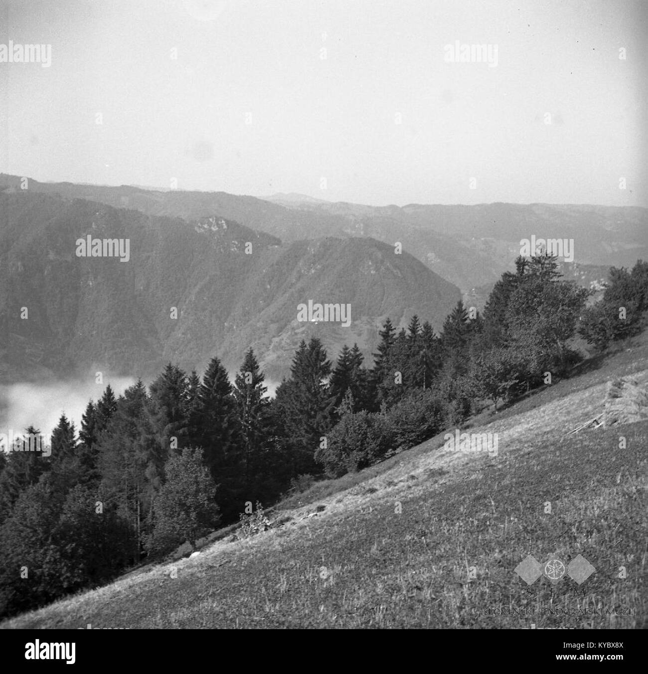Photograph from 1954 showing a field named 'Hmeljnica' with half ...