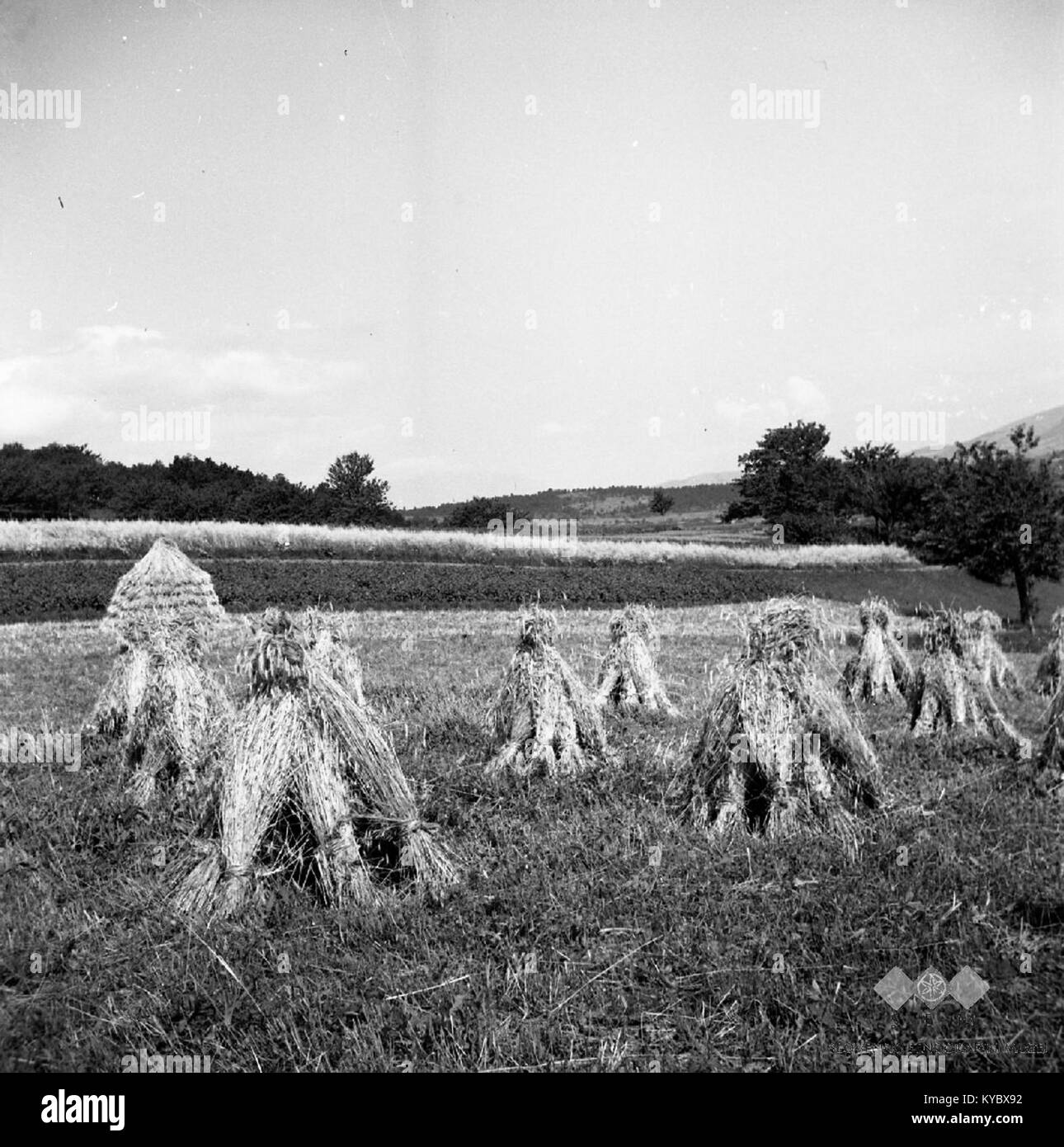 Mislice history hi-res stock photography and images - Alamy