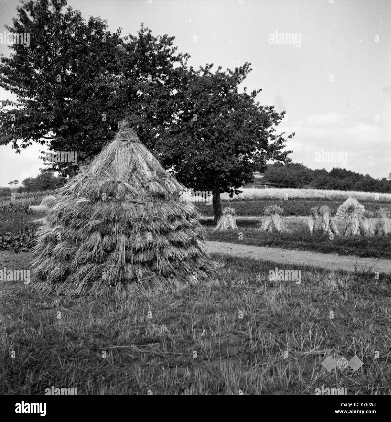 Mislice history hi-res stock photography and images - Alamy