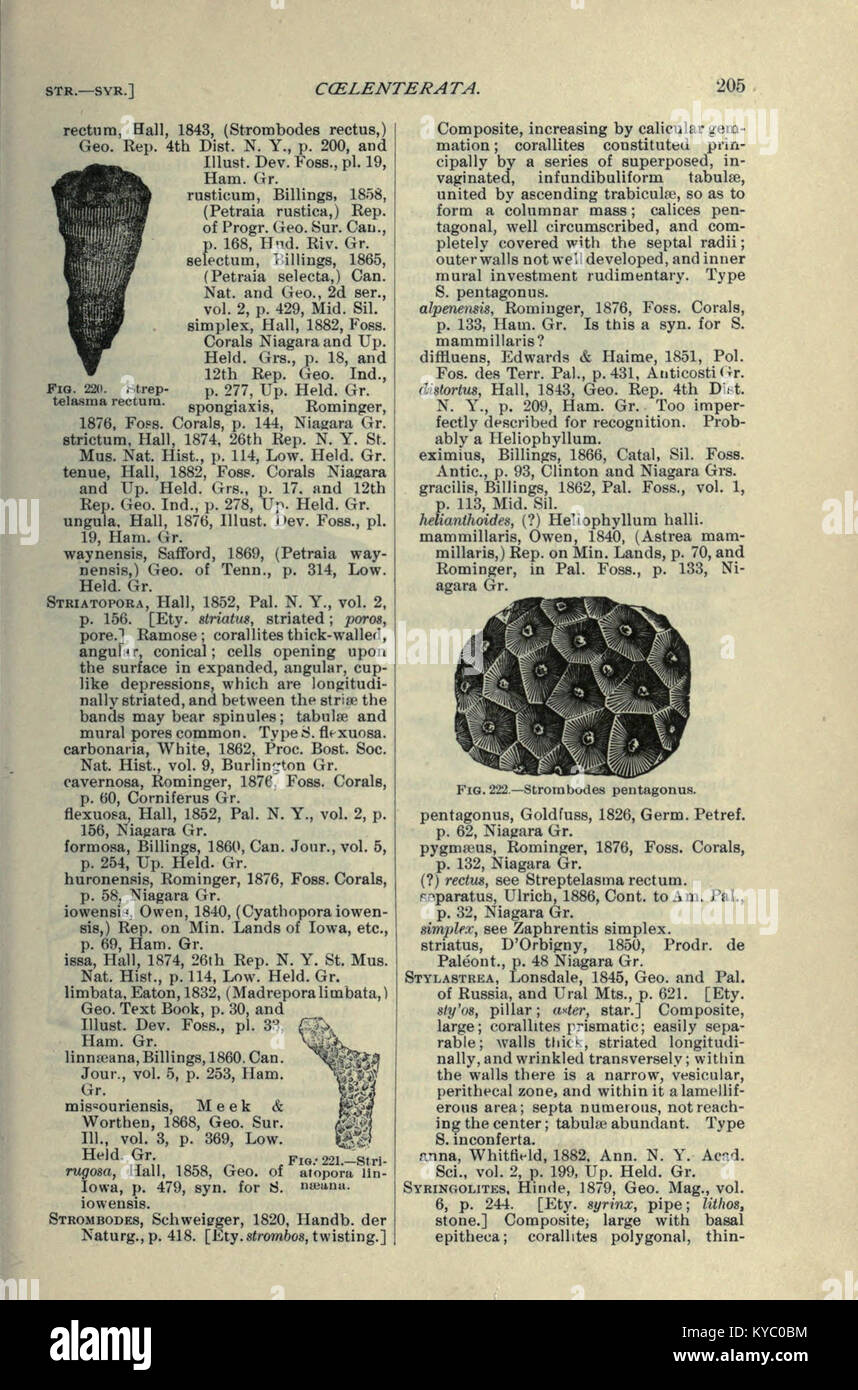 This page from the book *North American Geology and Paleontology ...