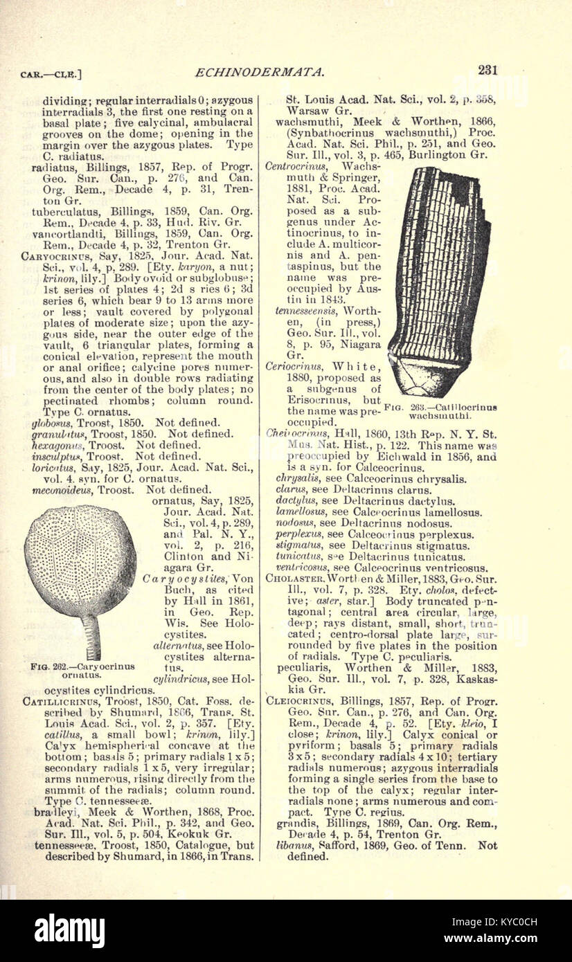 Educational introduction study geology hi-res stock photography and ...
