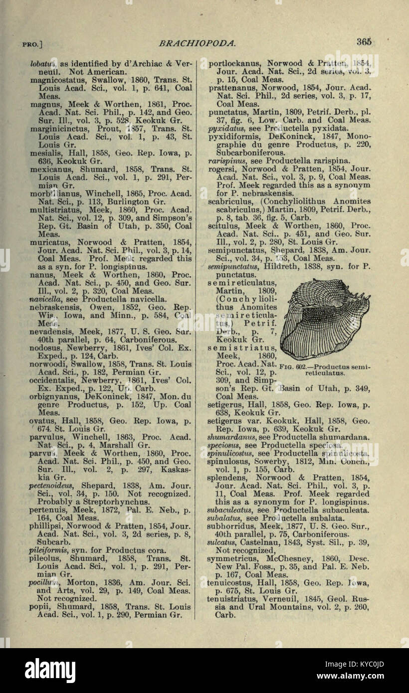 A comprehensive text on North American geology and paleontology ...