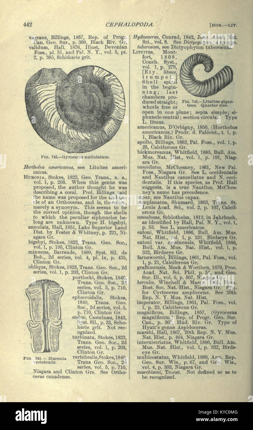 Scientific work on geology hi-res stock photography and images - Alamy