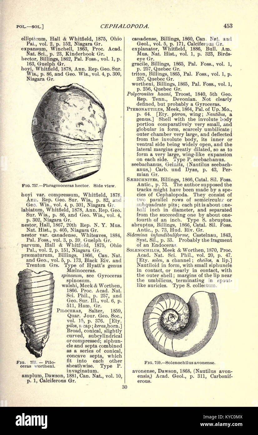 Detailed study geology paleontology hi-res stock photography and images ...