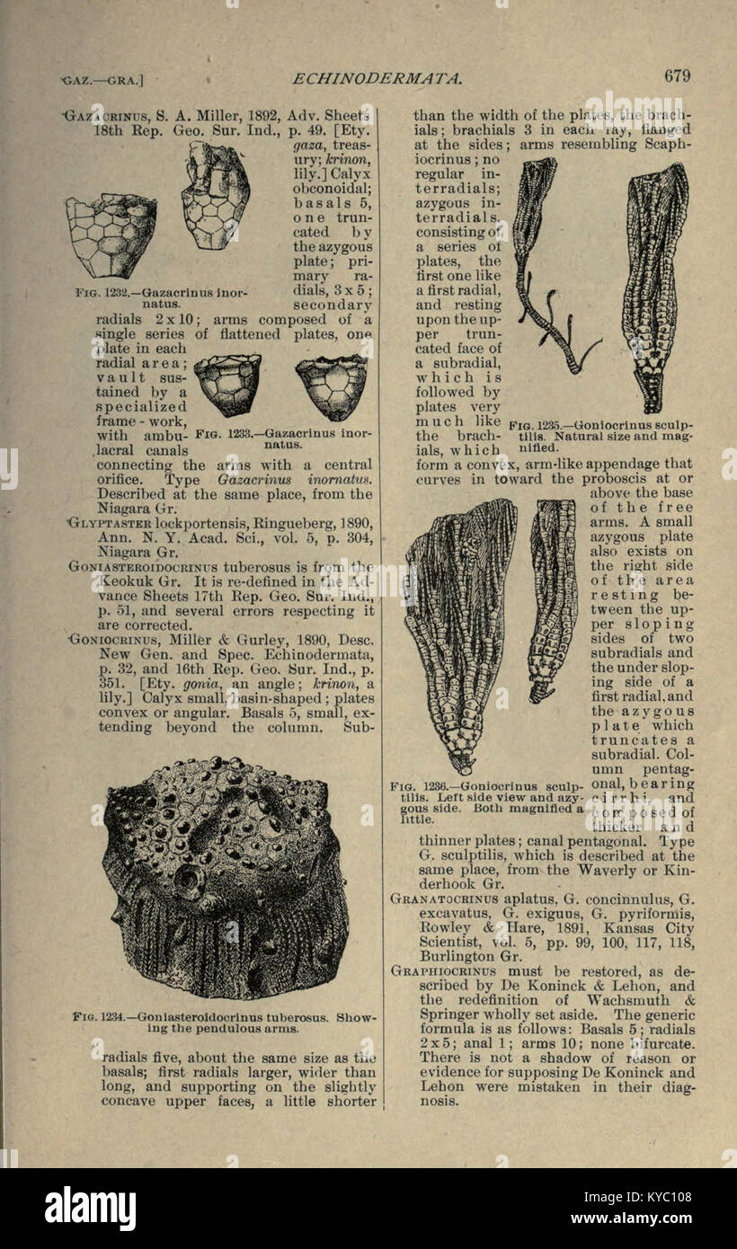 A detailed guide on North American geology and paleontology, describing ...
