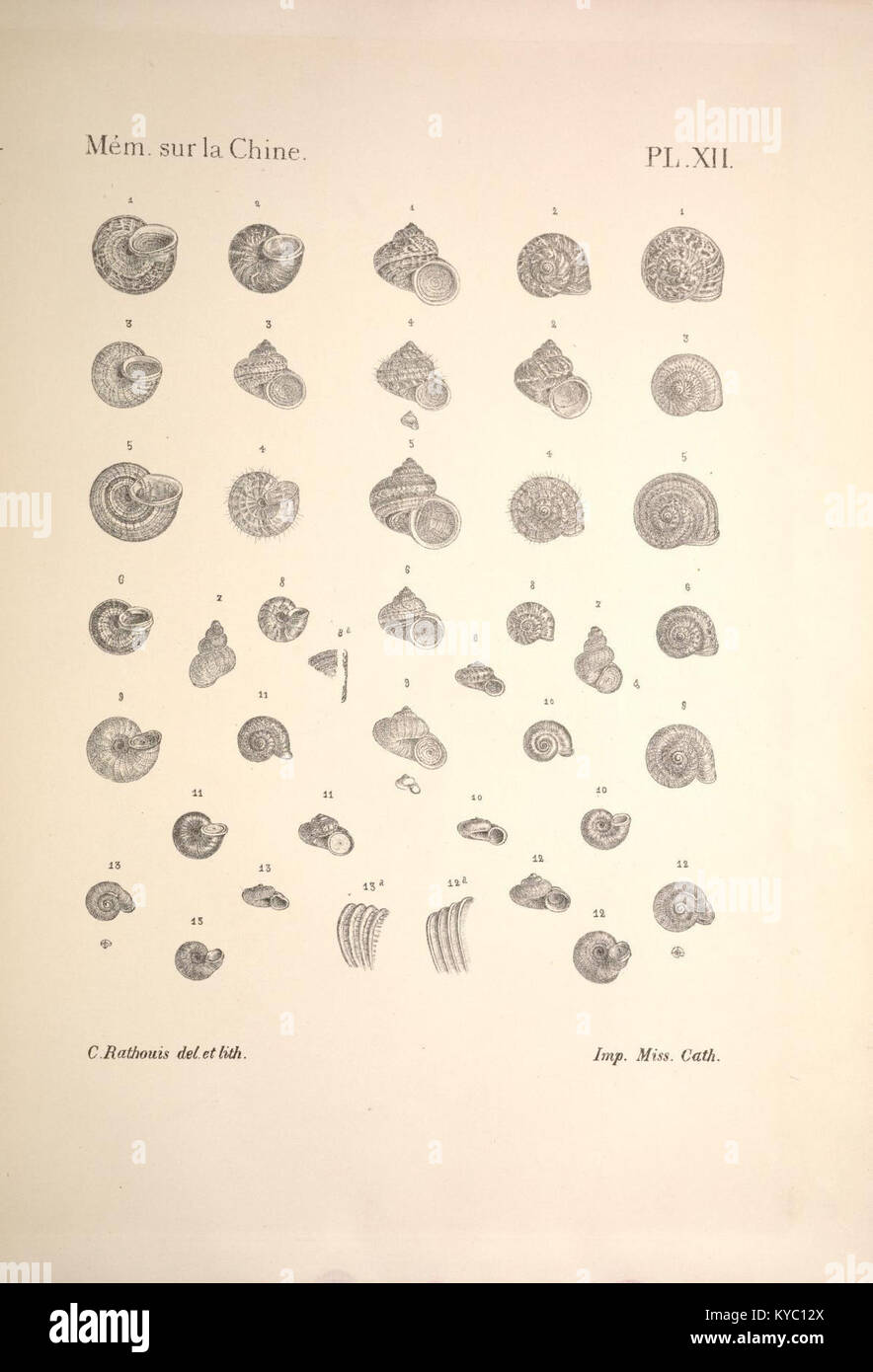 Fleuve yangtze hi-res stock photography and images - Alamy