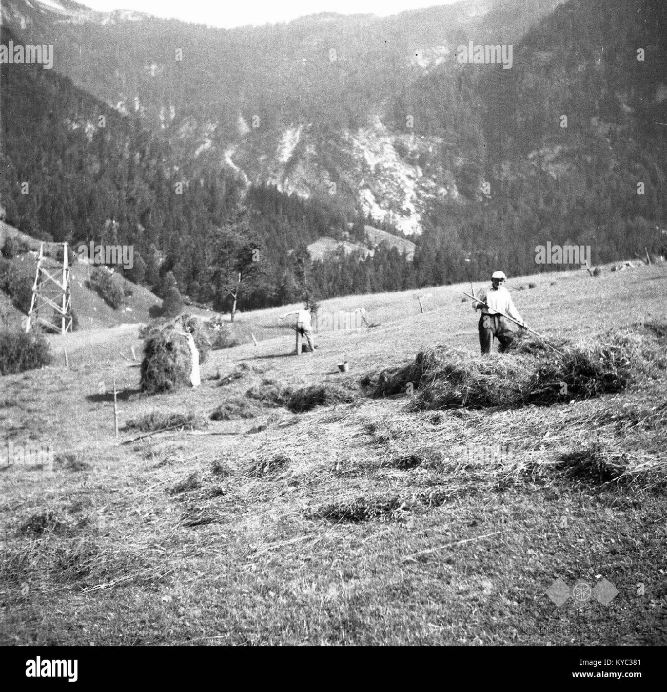 Vrsnik hi-res stock photography and images - Alamy