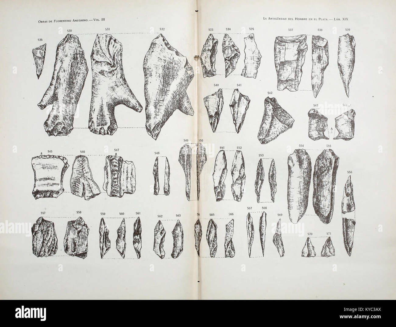 This page from 'Obras Completas y Correspondencia Científica' (Complete ...