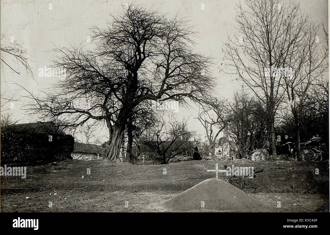 A historical photograph showing Austrian and Russian soldiers’ graves ...