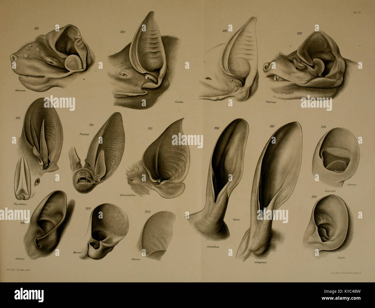 External structure shown hi-res stock photography and images - Alamy