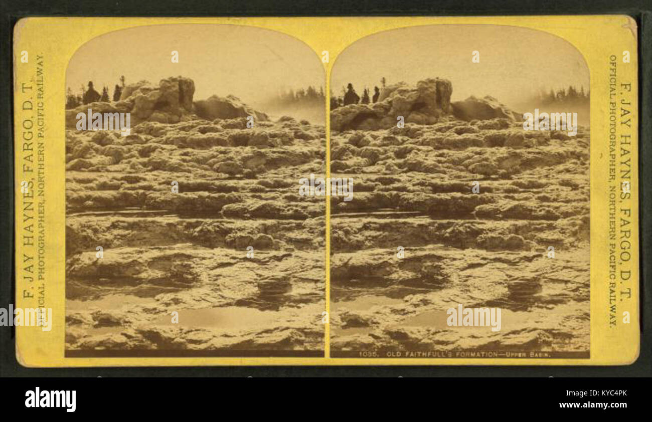 A photograph of Old Faithful, the famous geyser in Yellowstone National ...