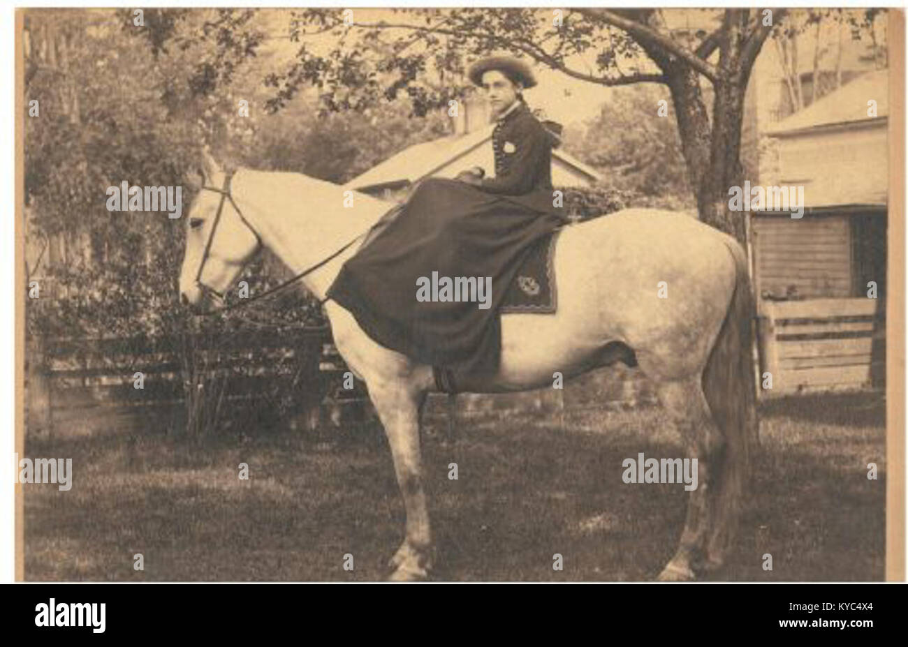 Old horse house hi-res stock photography and images - Alamy