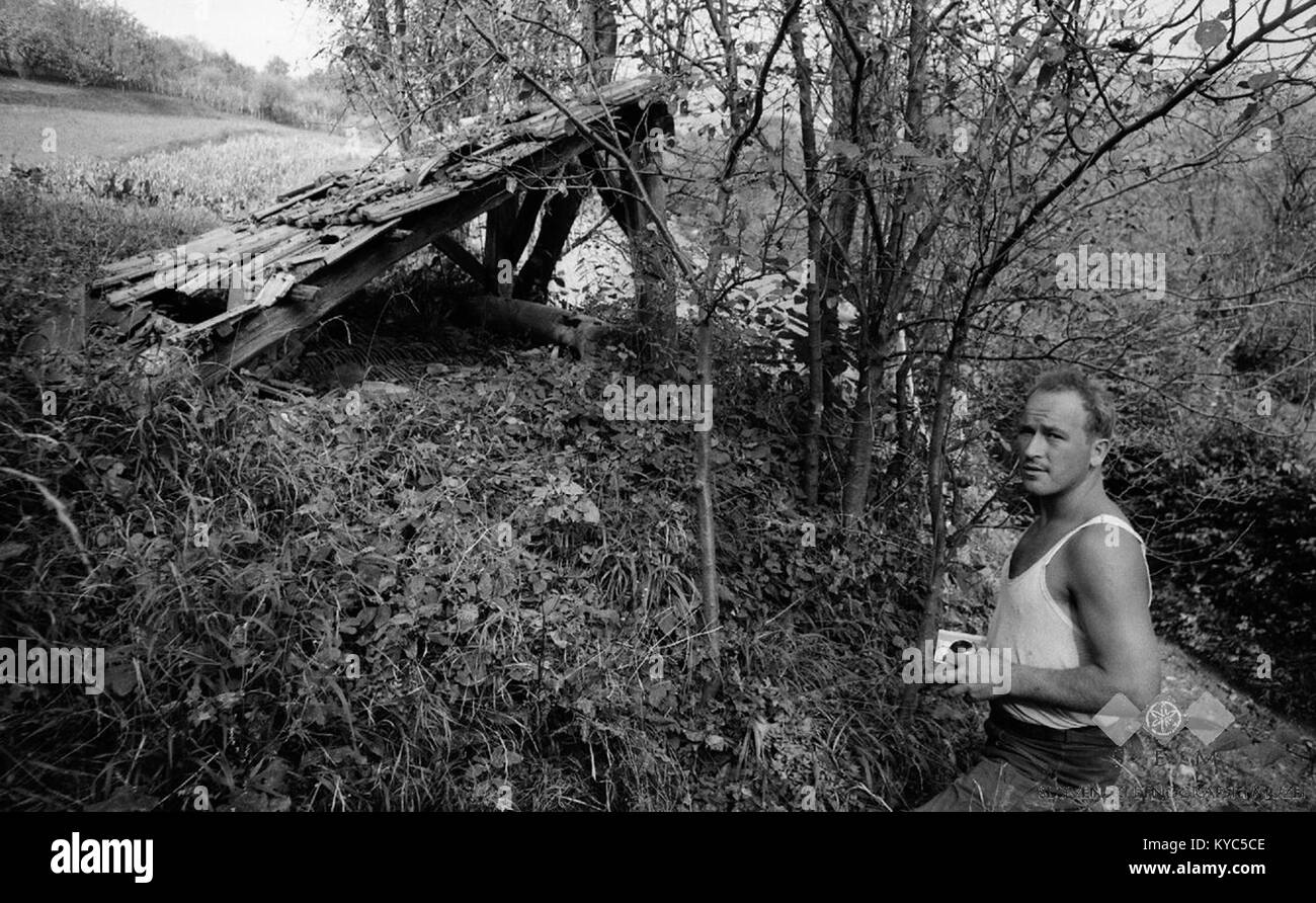 A 1965 photograph showing the construction of a barn for flax ...