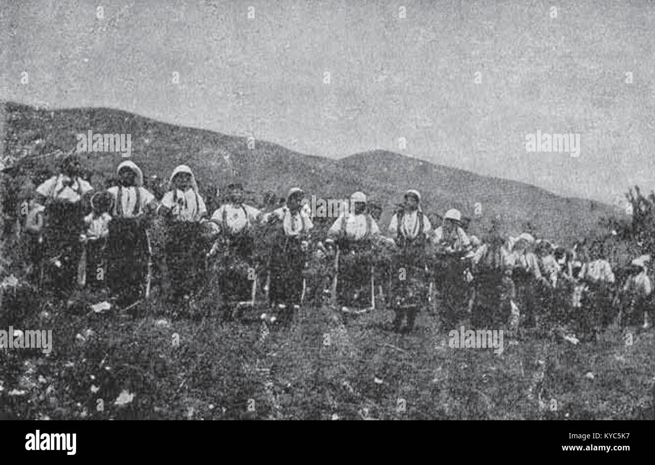 Oro in Capari, old Stock Photo - Alamy