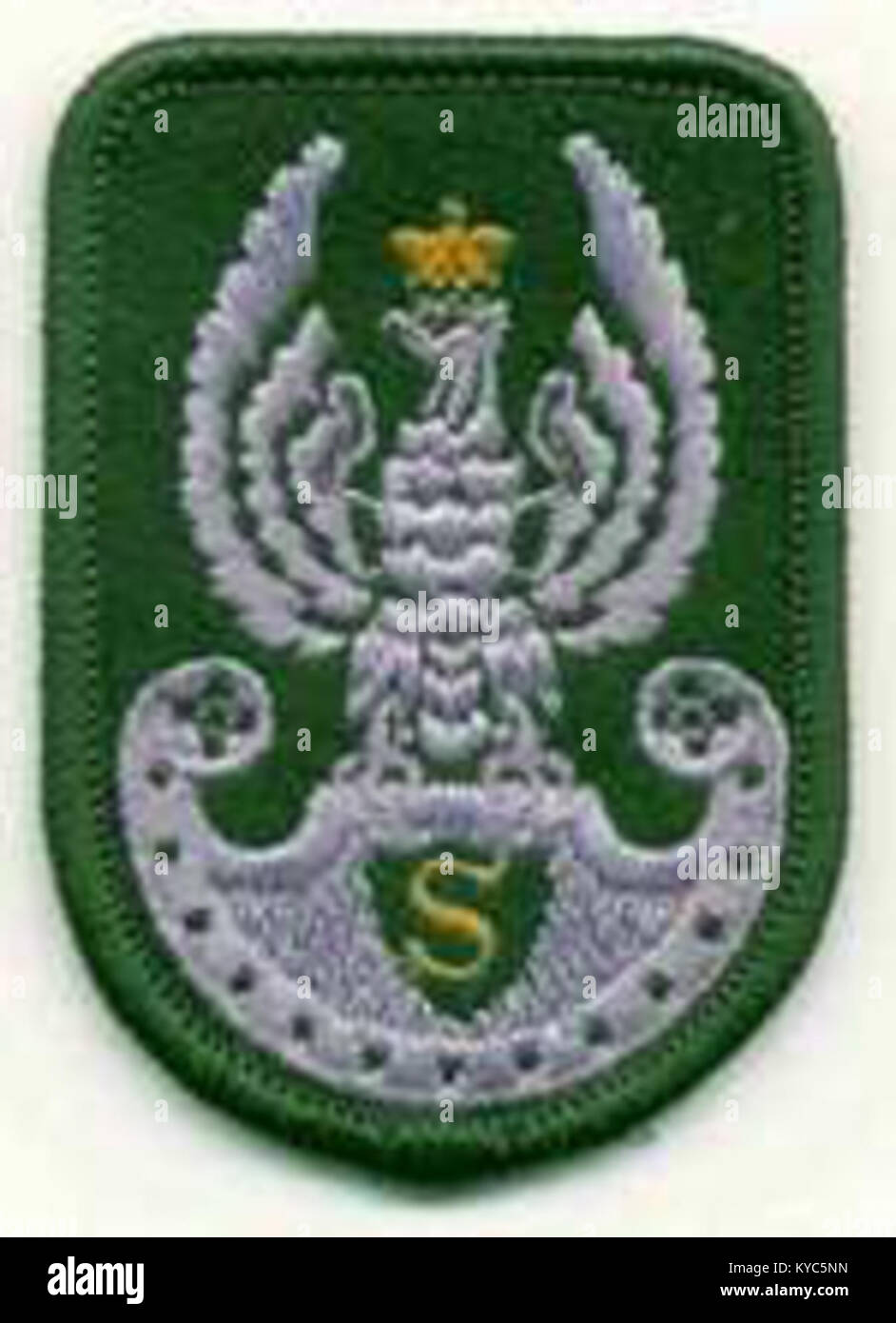 A Polish military insignia showing an embroidered eagle badge on a ...