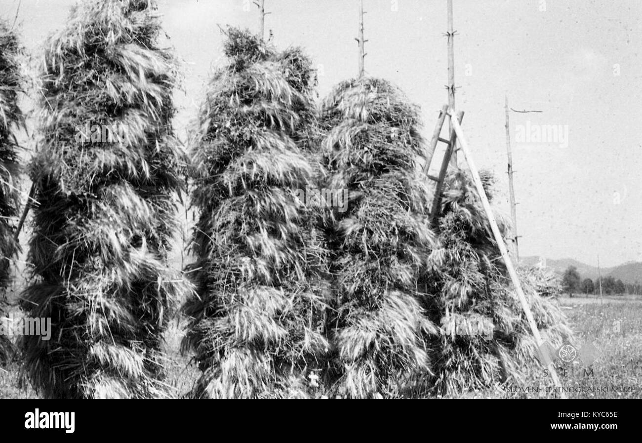 Barley farming europe Black and White Stock Photos & Images - Alamy