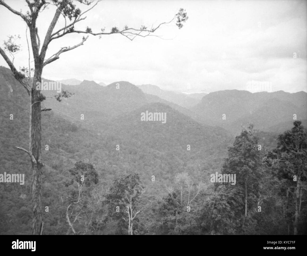 Owen Stanley Range Ww2