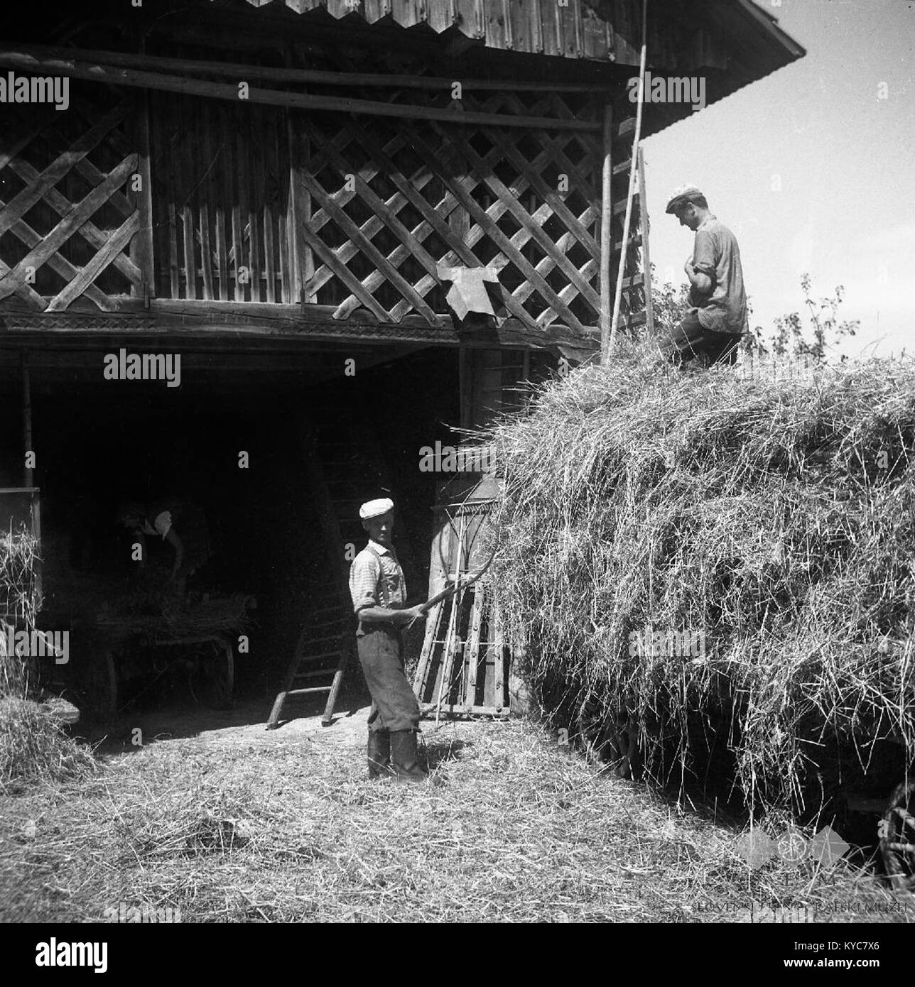 Photograph from Veliki Osolnik, Slovenia, in 1960, showing workers ...