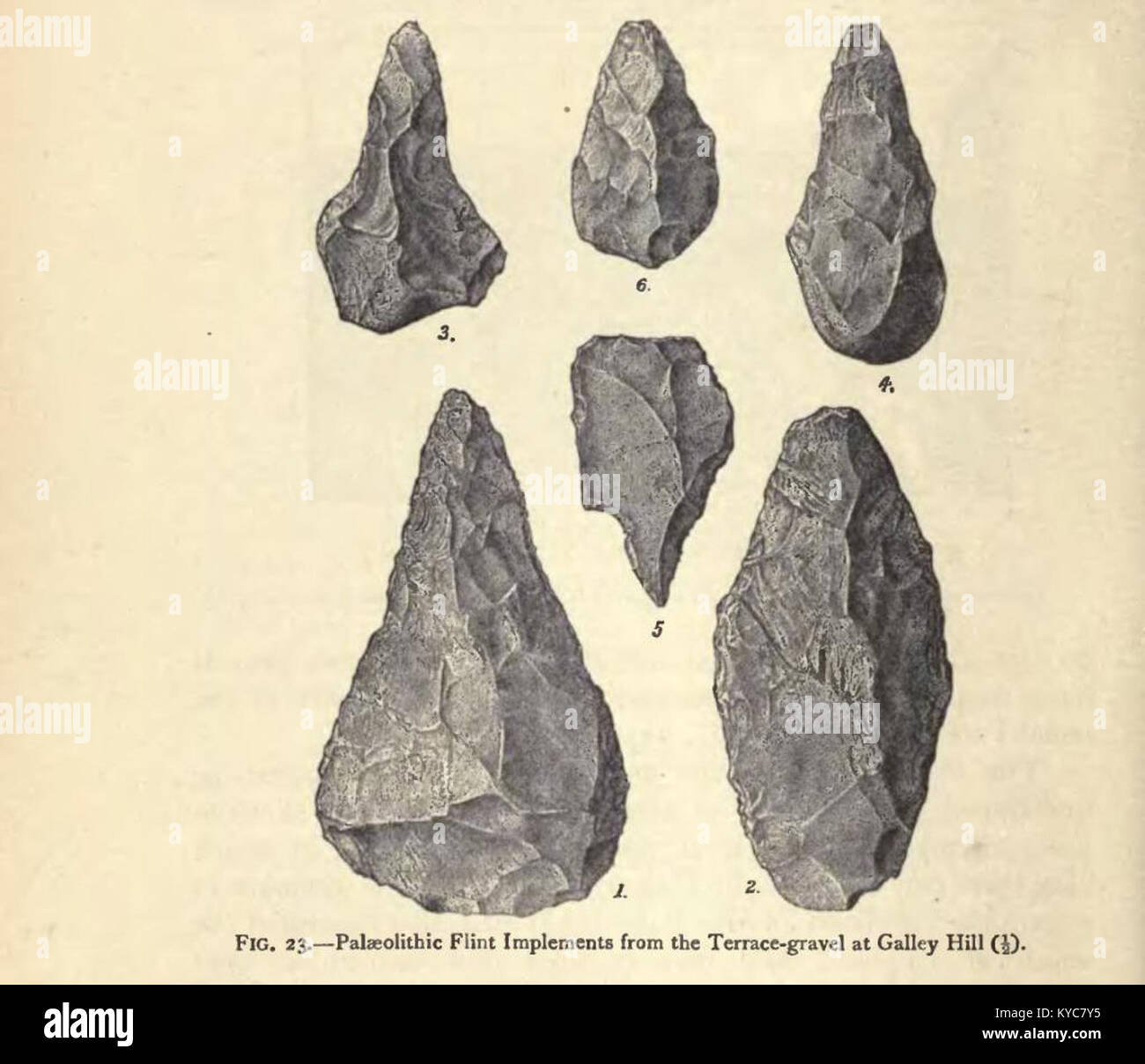 This document illustrates Paleolithic man and the Terramara settlements ...