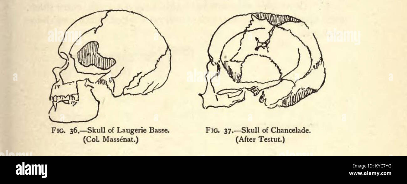 A detailed illustration from a study on Paleolithic humans and their ...