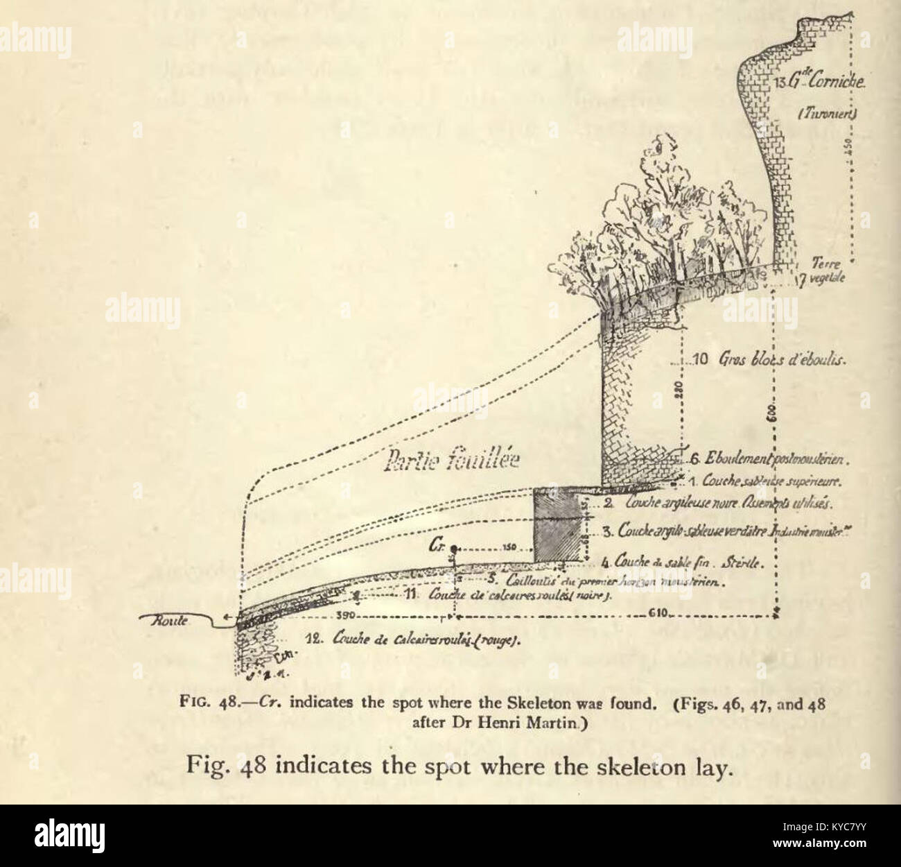 This document examines Paleolithic human settlements and the Terramara ...