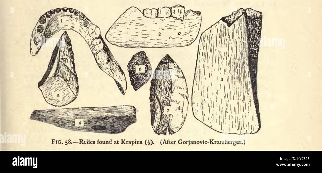 This image from 'Palæolithic Man and Terramara Settlements in Europe ...