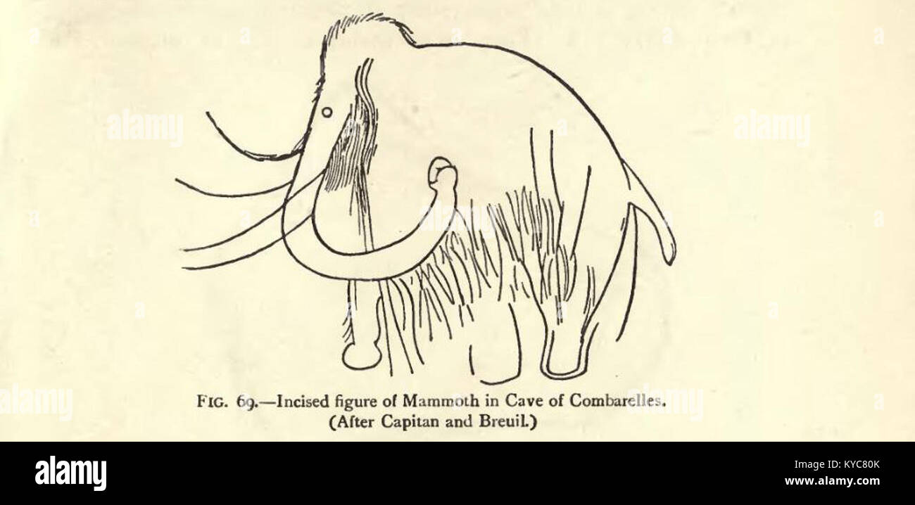 Figure 69 on page 215 of Palæolithic Man and Terramara Settlements in ...
