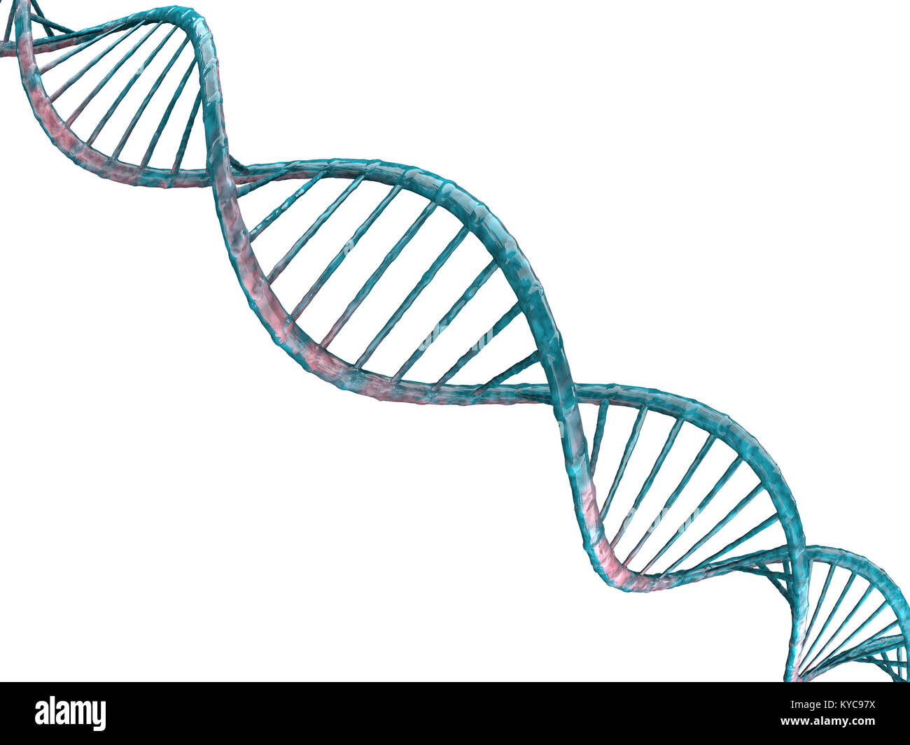Digital illustration of a DNA model on transparent background. 3D ...
