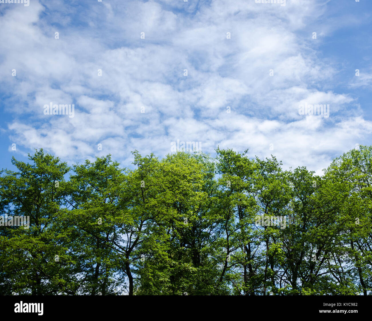 Sky shades hi-res stock photography and images - Alamy