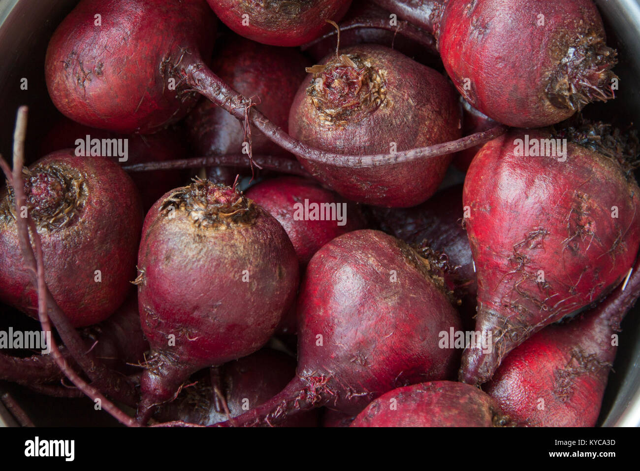 Beetroot plant pot hi-res stock photography and images - Alamy