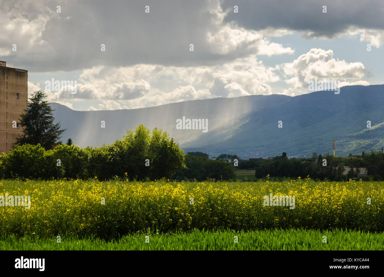 Crepuscular sunrays hi-res stock photography and images - Alamy