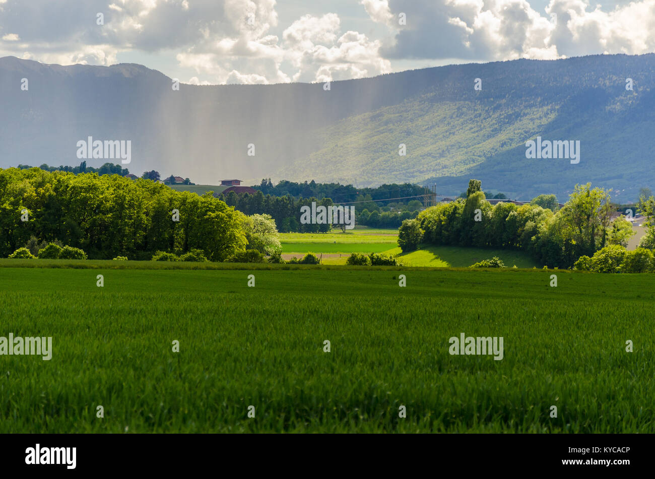 Rays of sunshine breaking through clouds over a lush green landscape ...